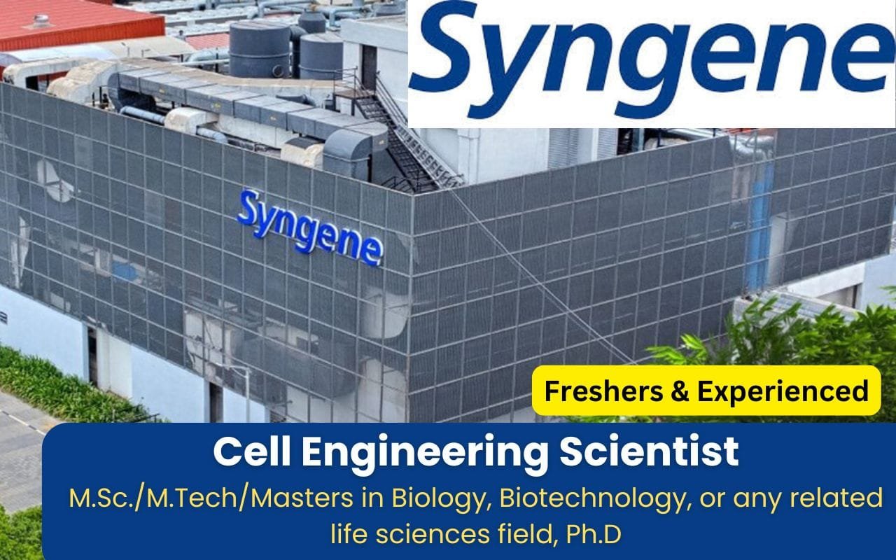 Freshers & Experienced Needed as Cell Engineering Scientist at Syngene